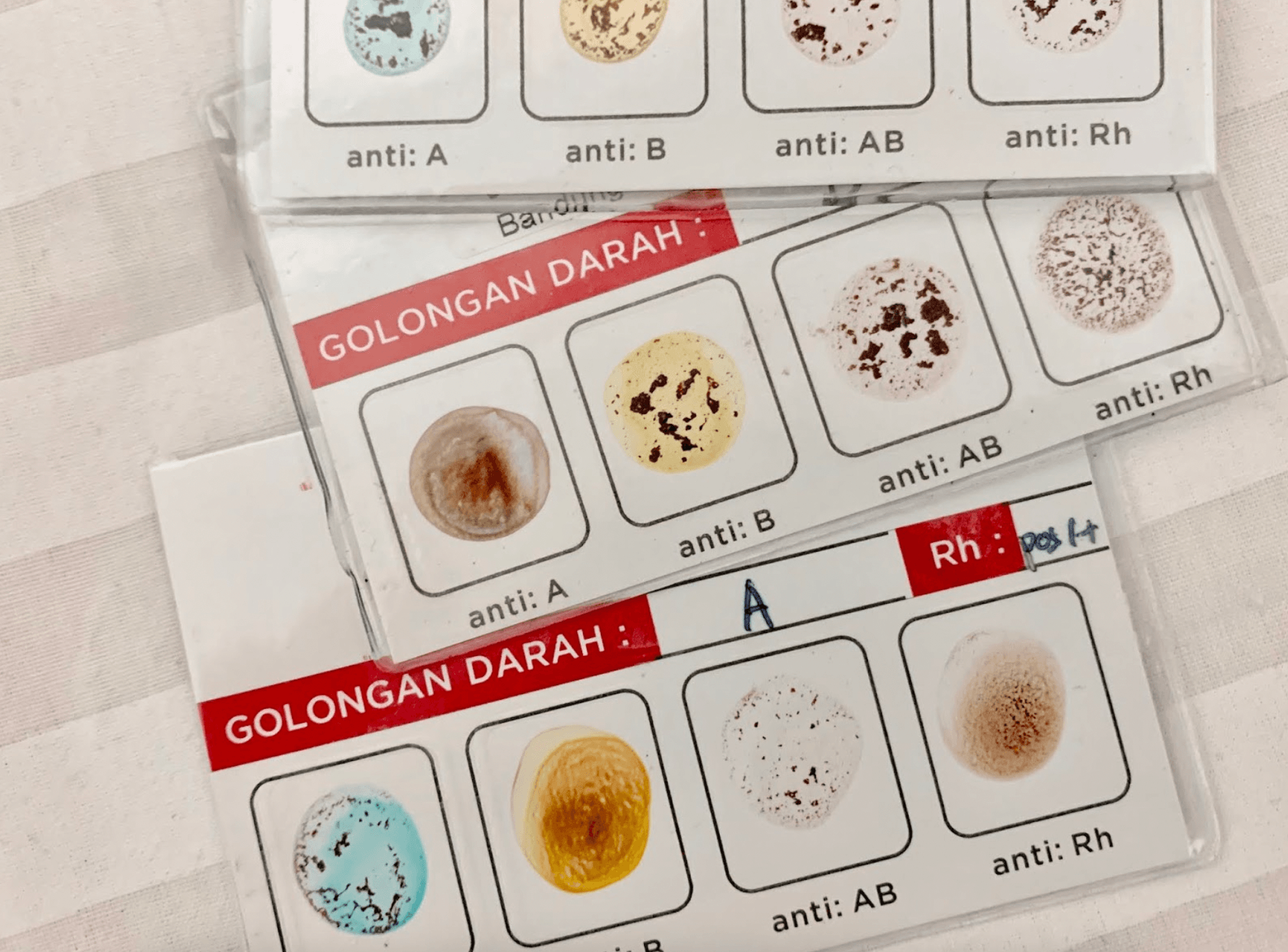 √ Prosedur & Biaya Cek Golongan Darah di Puskesmas 2023 – Harga Biaya